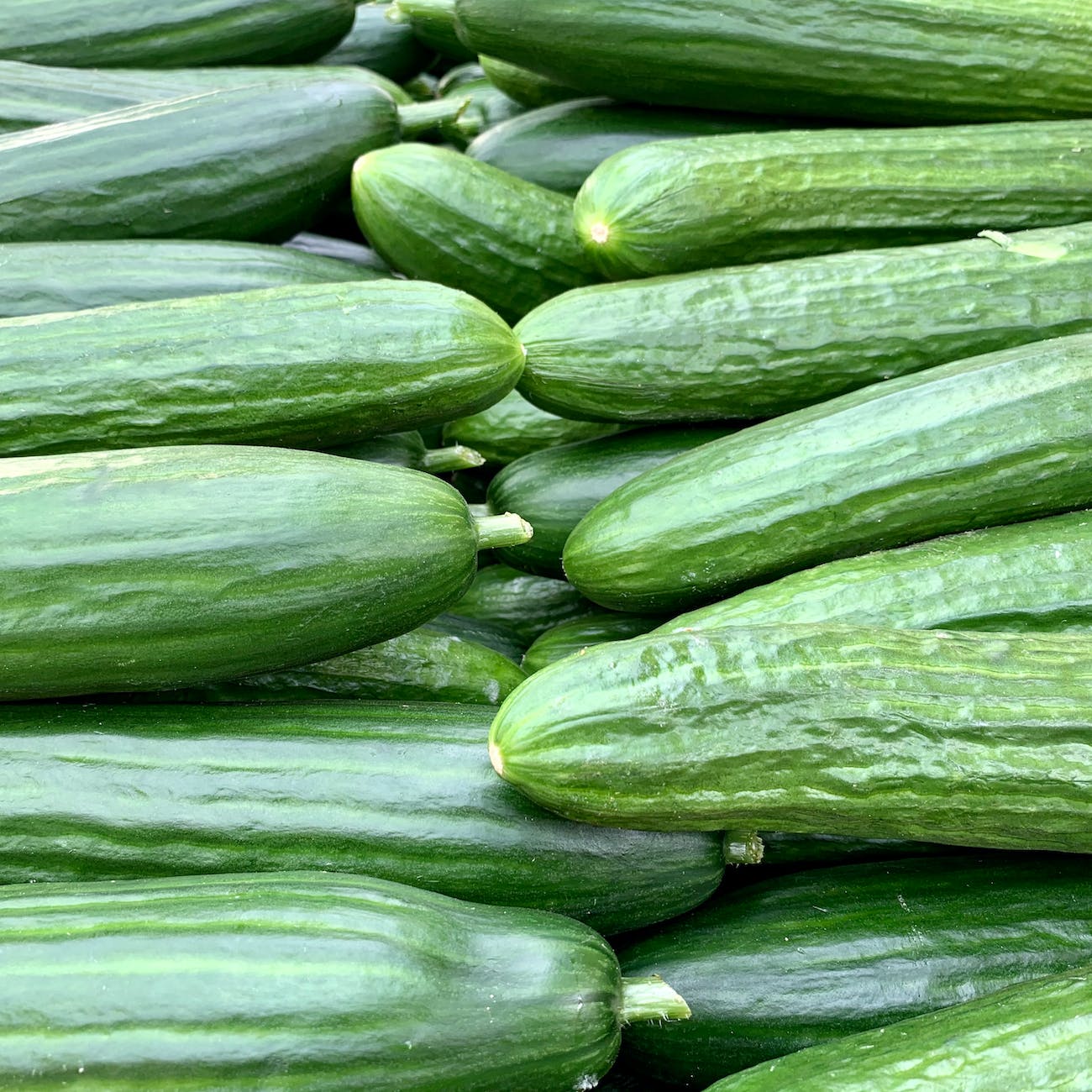 Cucumber: Growing Tips, Health Benefits, and Meal Ideas for Your Allotment Cucumber: Growing Tips, Health Benefits, and Meal Ideas for Your Allotment