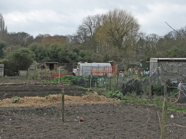 Clearing an Allotment Plot: Essential Information and Steps - Allotment ...