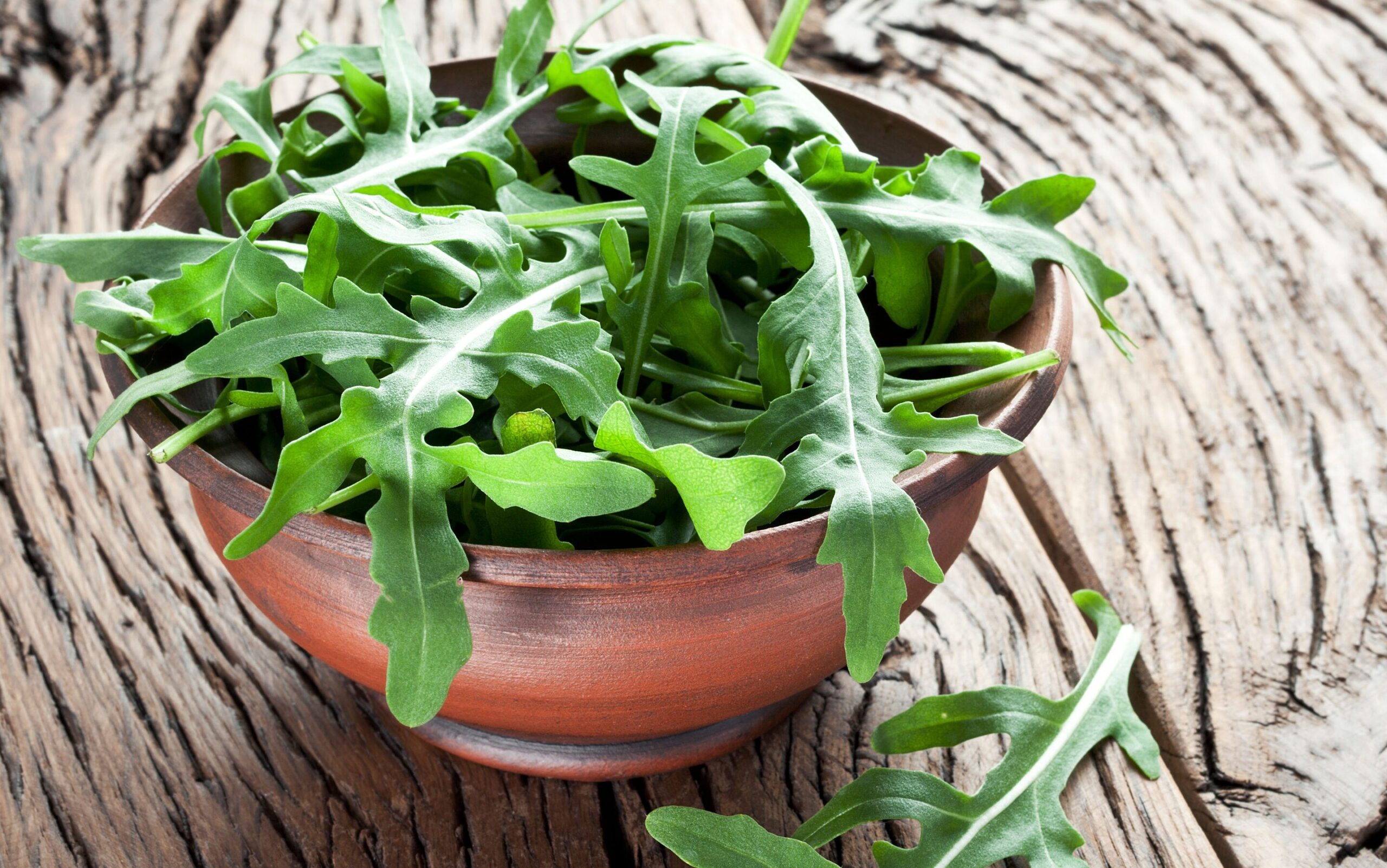 From Garden to Plate: A Comprehensive Guide to Growing Rocket in Your ...