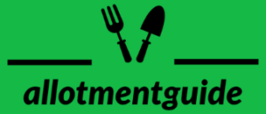 What to Grow on Your Allotment: A Comprehensive Guide - Allotment Guide ...