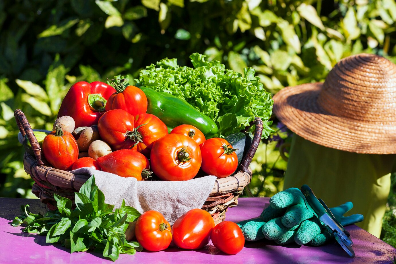 Grow Your Own Produce and Save Money: How Much Does an Allotment Cost ...