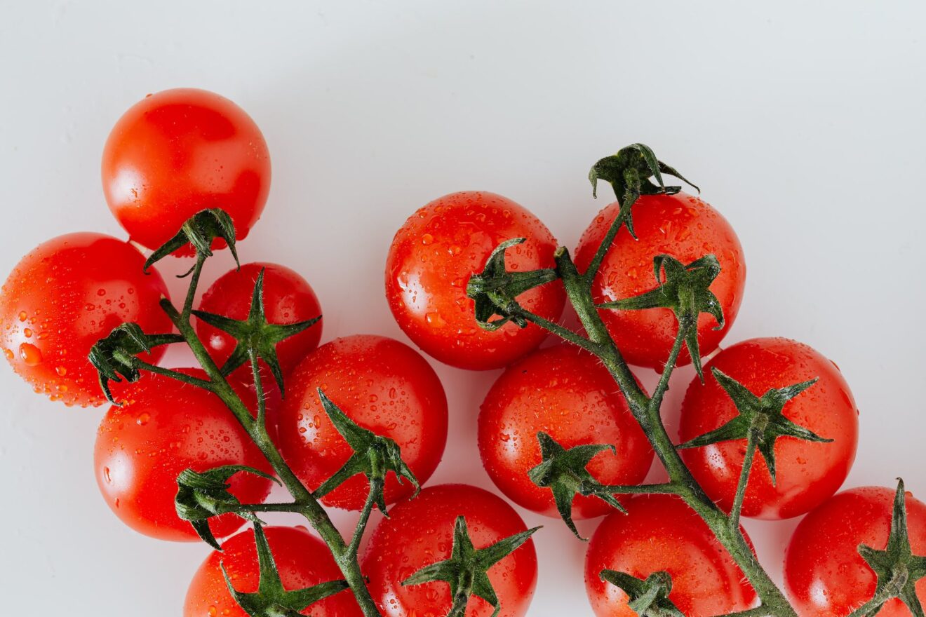 Growing and Savoring Fresh Tomatoes – Insights, Health Advantages, and ...